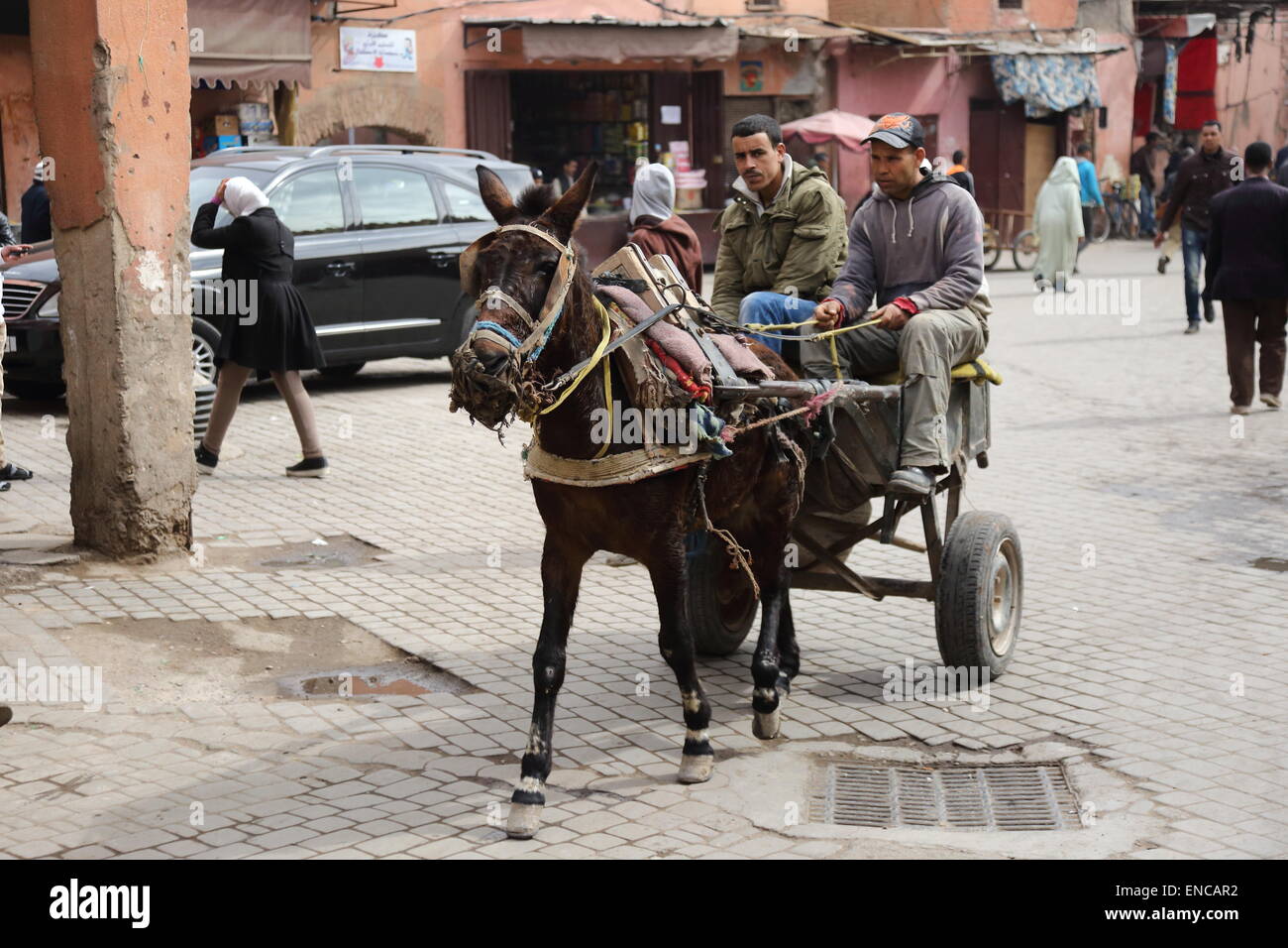A horse and cart on the road with passengers in Marrakech, Morocco ...