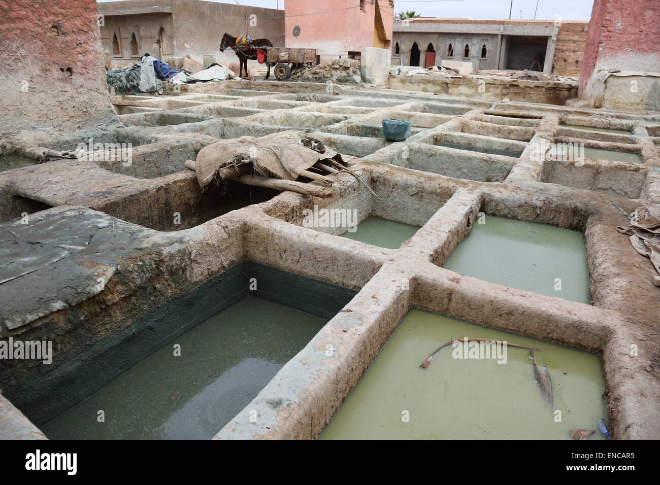 Marrakech leather tannery hi-res stock photography and images - Alamy