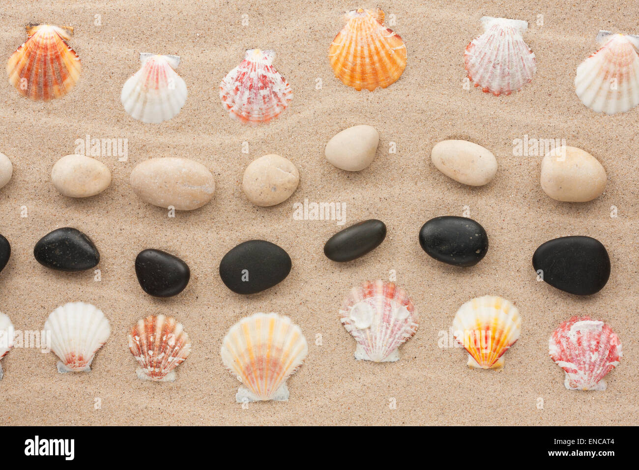 Frame made of seashell and stone on a wavy sand, as background Stock ...