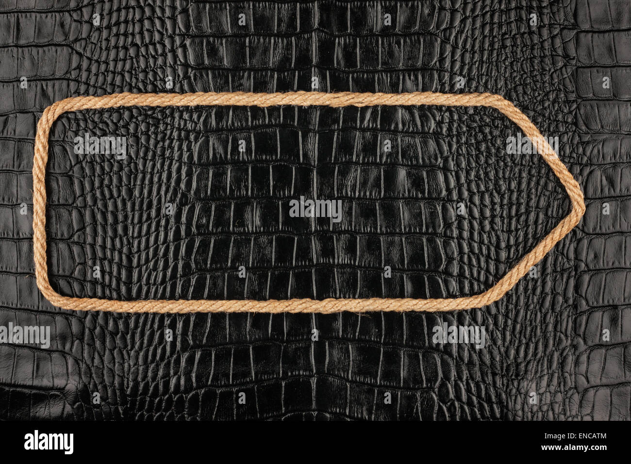 Crocodile arrow hi-res stock photography and images - Alamy