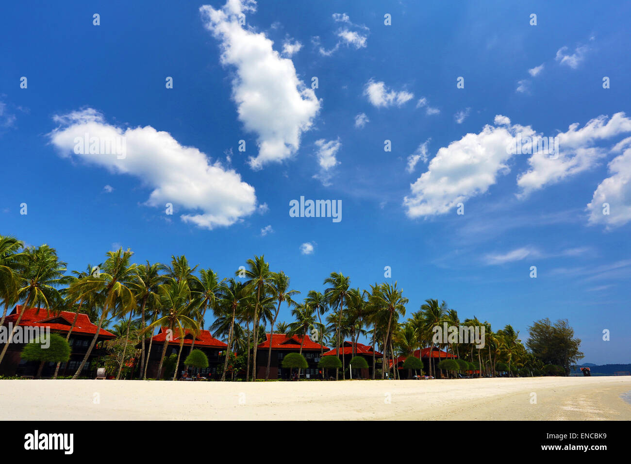 Tropical sandy beach with palm trees in Pantai Cenang, Langkawi ...