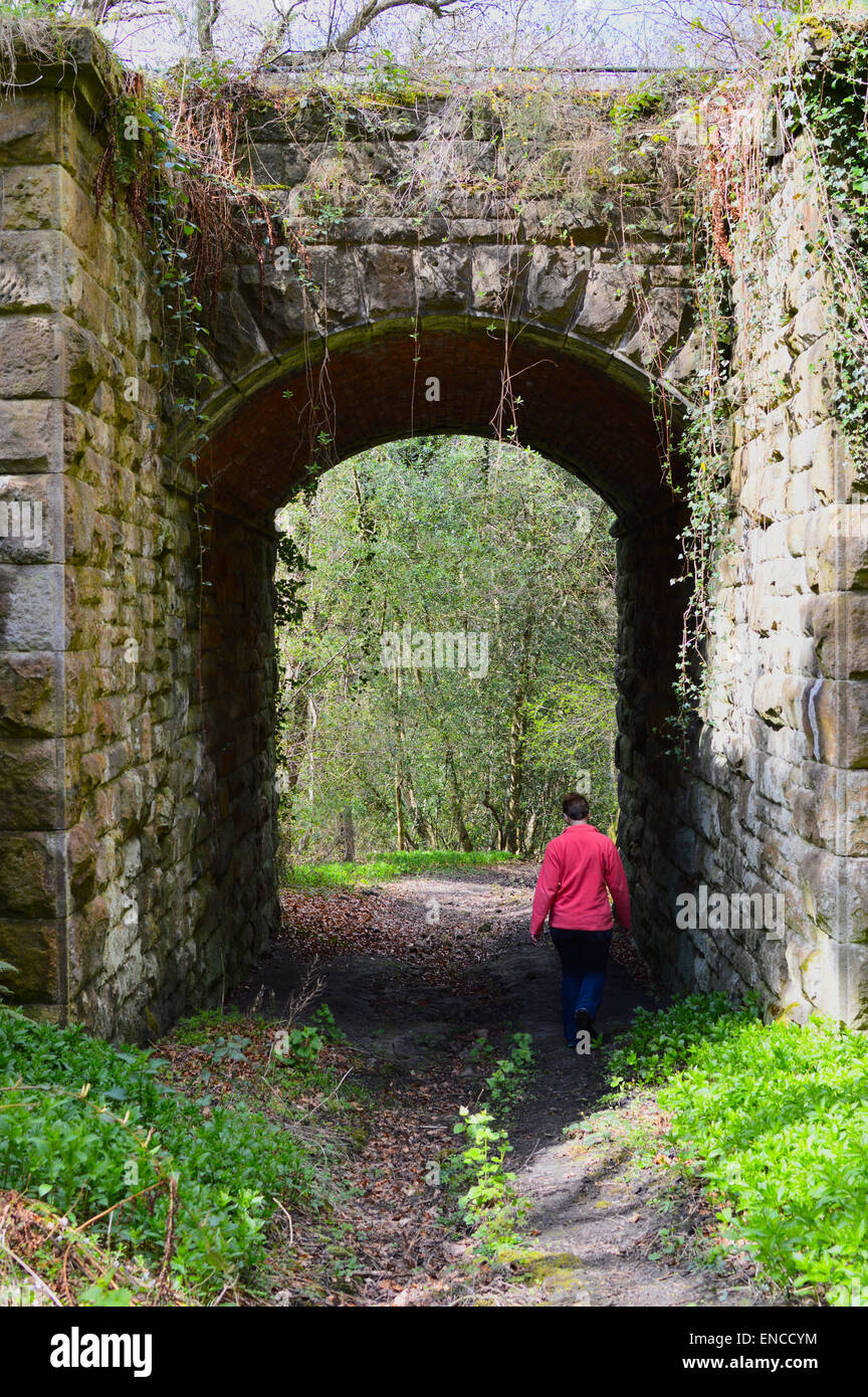 Bridge on the Derwent Walk railway path in Rolands Gill, Gateshead ...