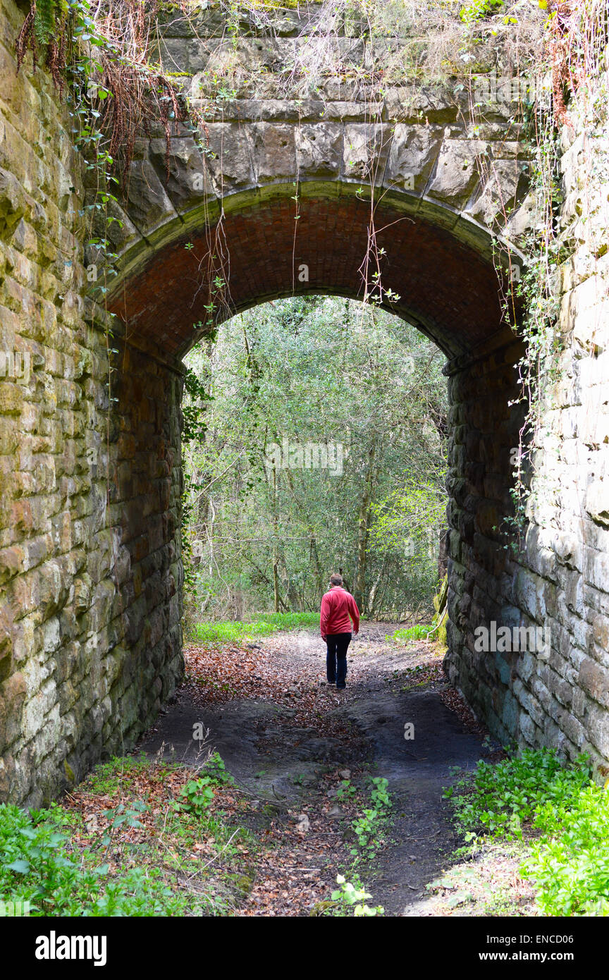 Bridge on the Derwent Walk railway path in Rolands Gill, Gateshead ...