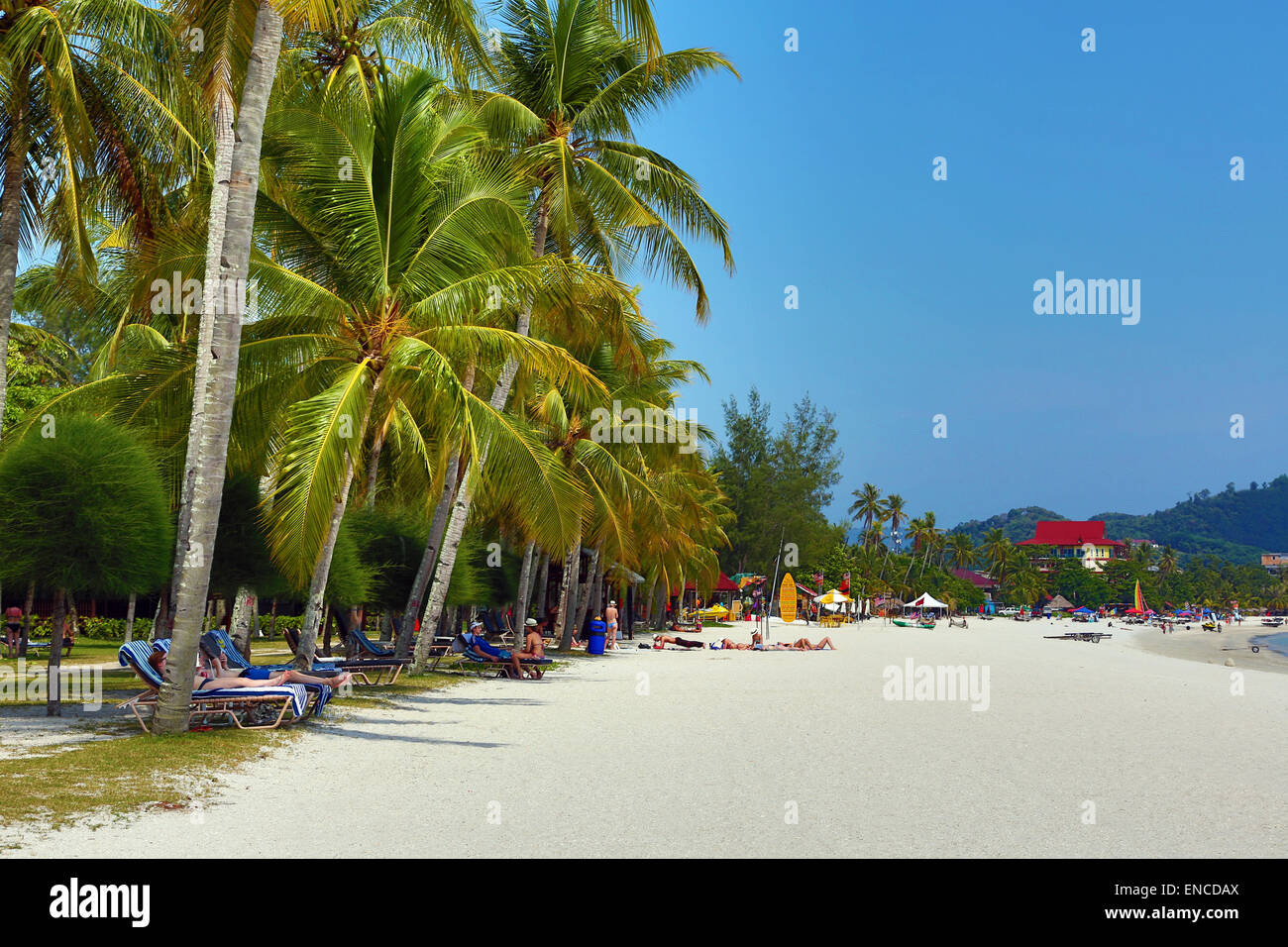 Tropical sandy beach with palm trees in Pantai Cenang, Langkawi ...