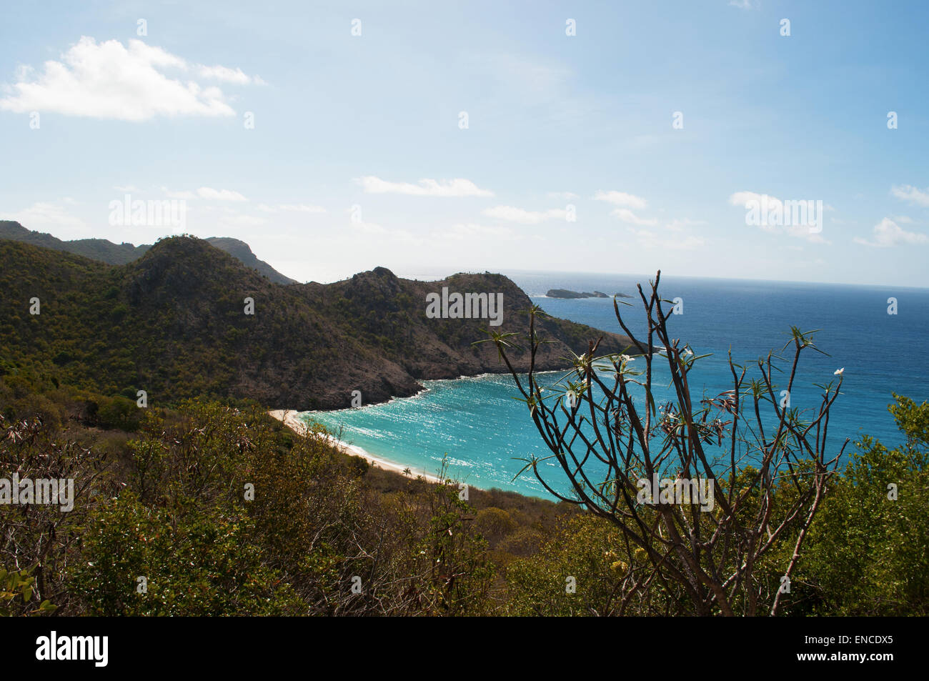 St Barth, St. Barths, Saint-Barthélemy, French West Indies, French ...