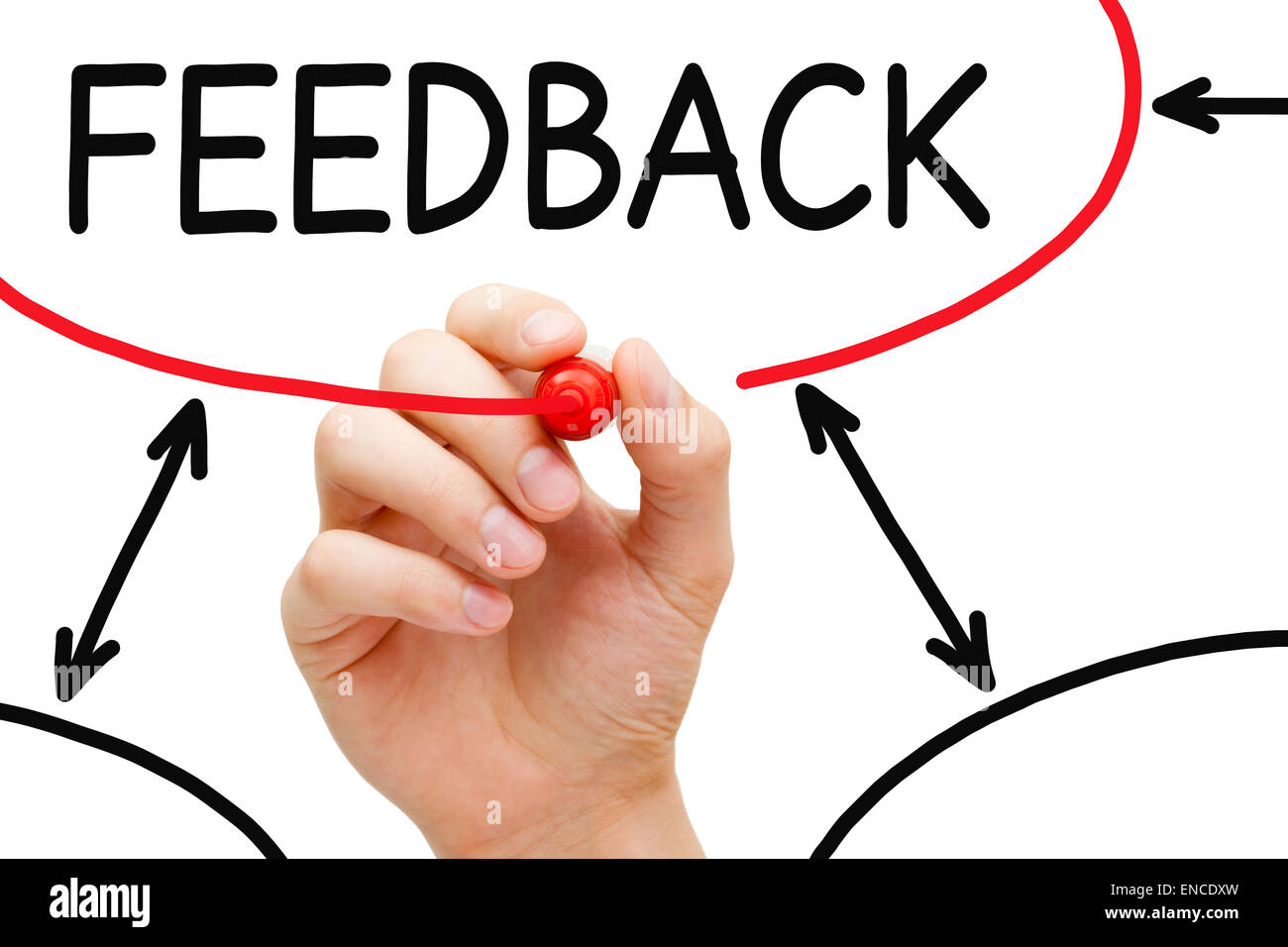 Hand drawing Feedback flow chart on transparent wipe board Stock Photo ...