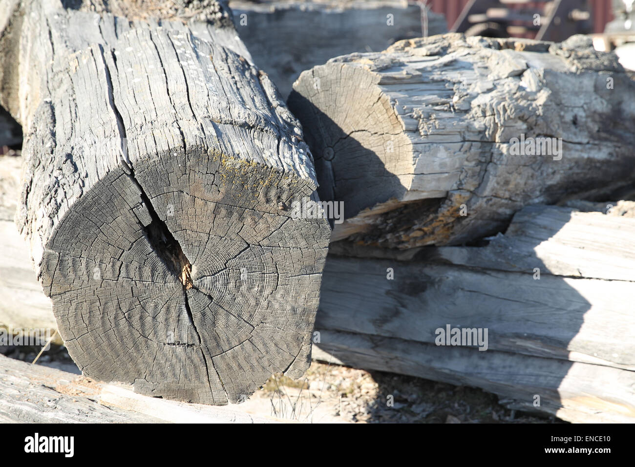 Very old wooden logs in the sunlight Stock Photo - Alamy