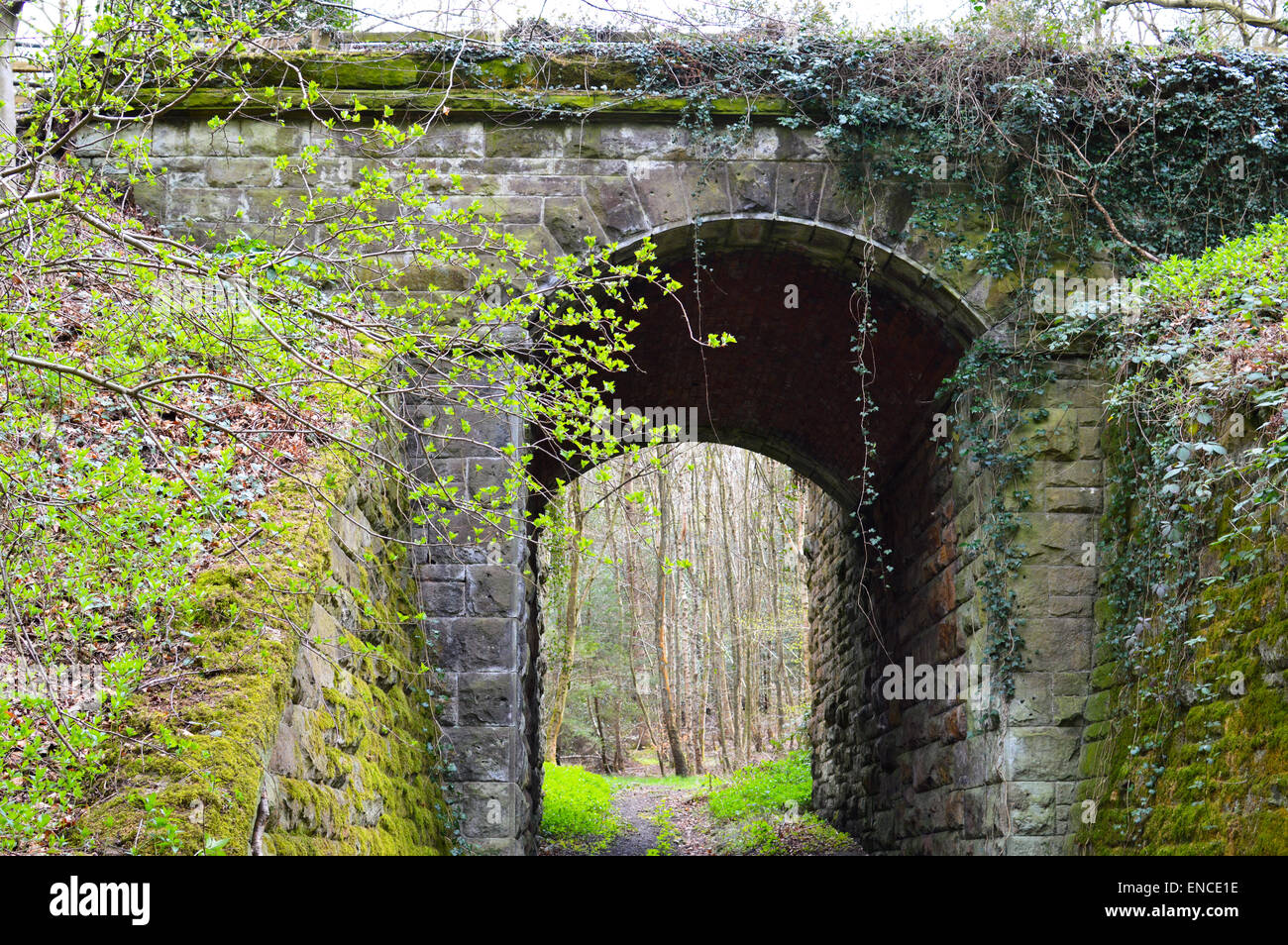 Bridge on the Derwent Walk railway path in Rolands Gill, Gateshead ...