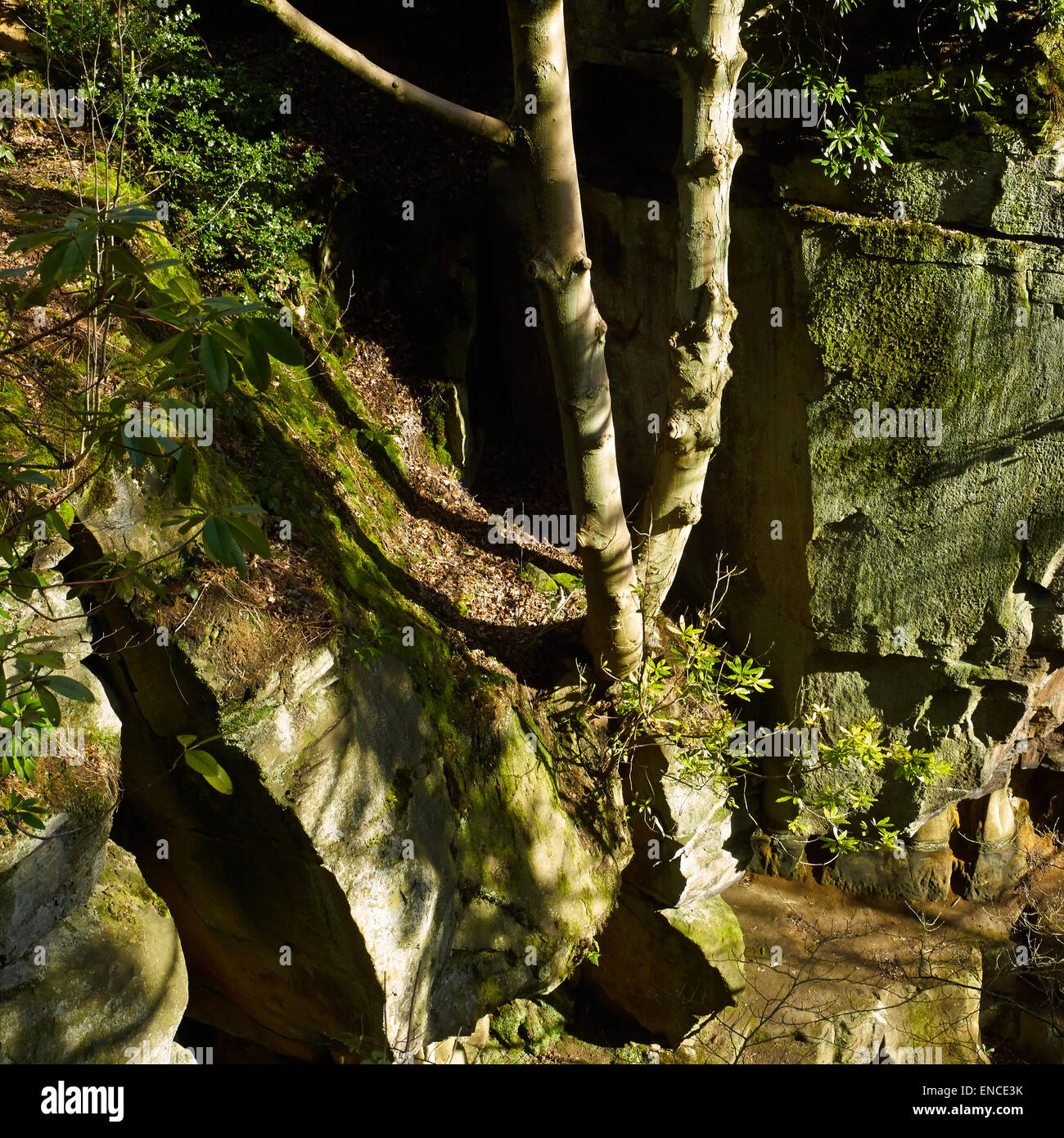 nature returns, Derbyshire Landscapes Stock Photo - Alamy