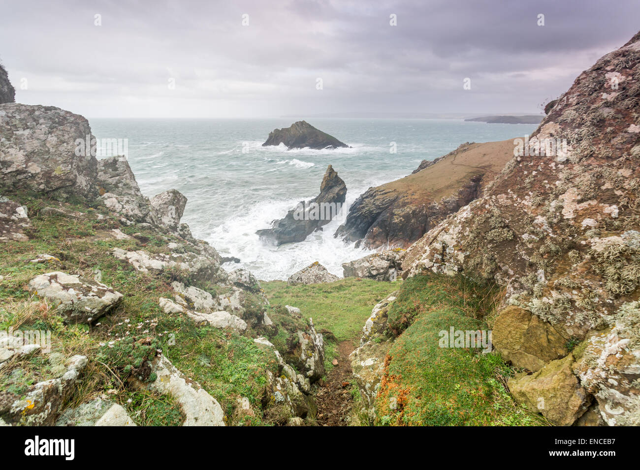 The rumps cornwall england uk on the coast path Stock Photo - Alamy