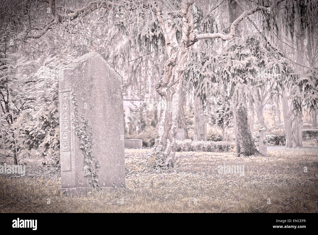 vintage shot of an old tombstone in a garden Stock Photo - Alamy