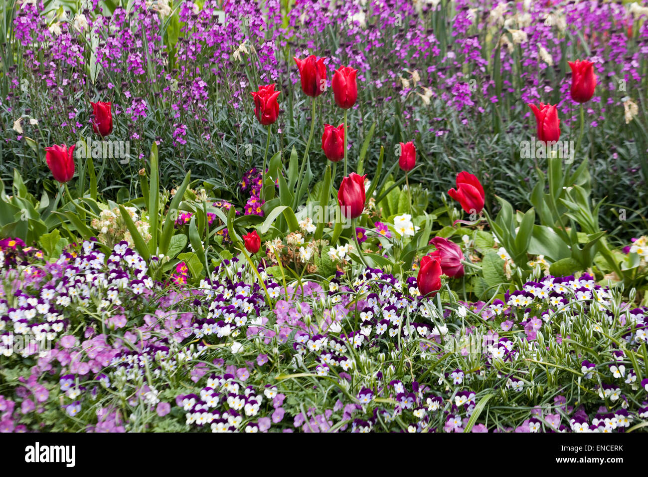 Hyde Park London Spring Flowers Stock Photos & Hyde Park London Spring ...