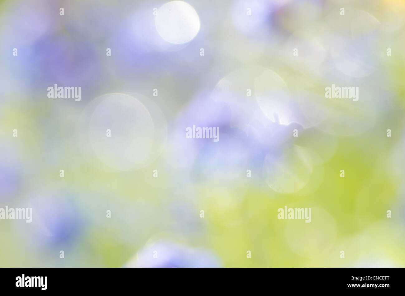 Abstract blur spring background hi-res stock photography and images - Alamy