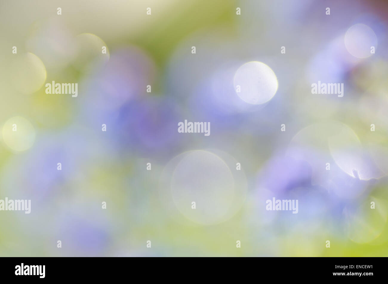 Abstract blur spring background hi-res stock photography and images - Alamy