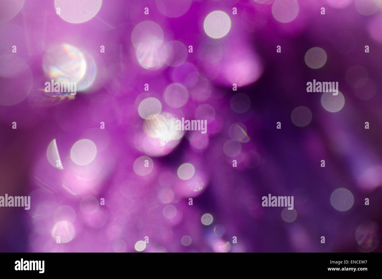 abstract blurred violet background Stock Photo - Alamy