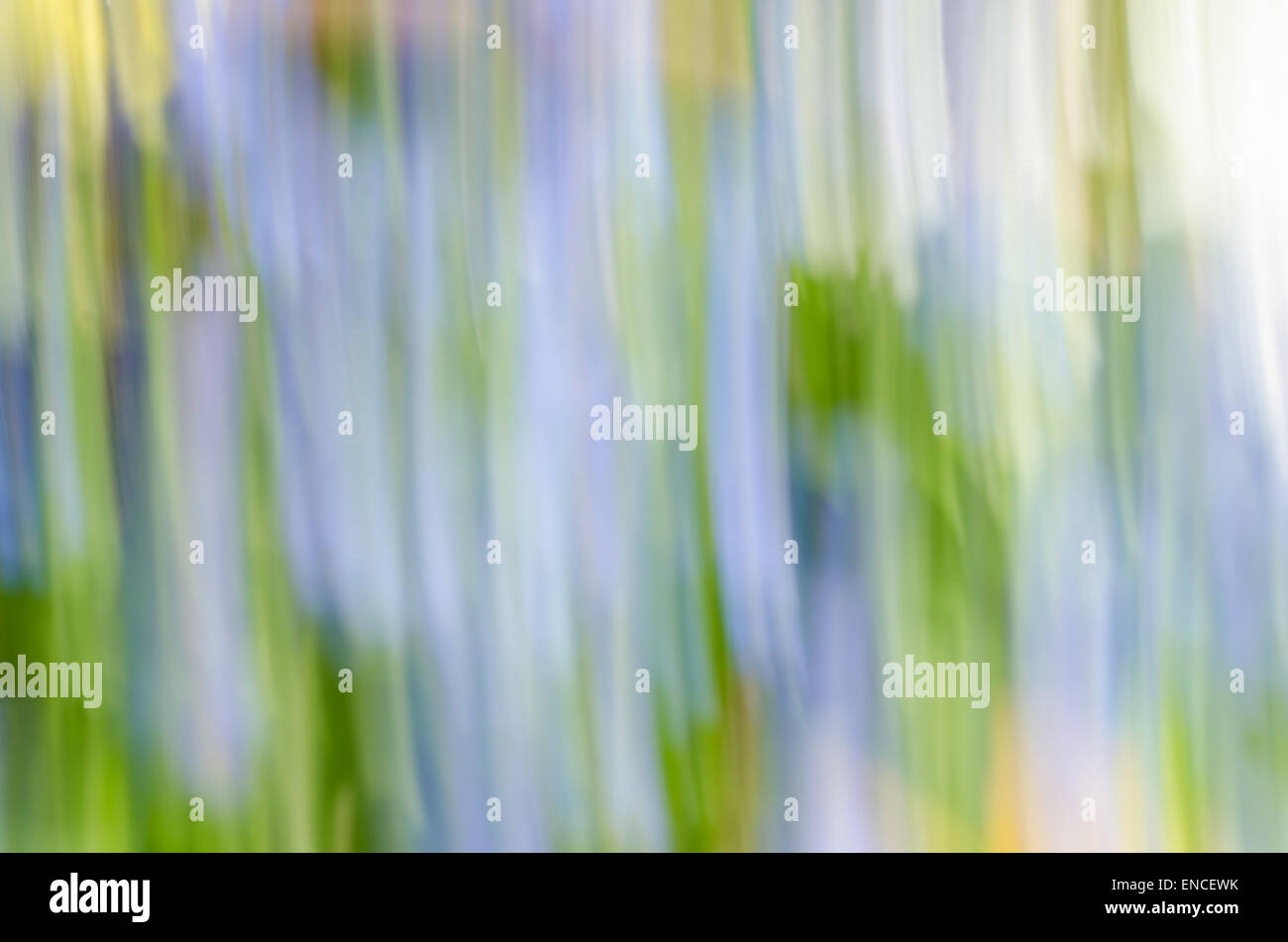 Abstract nature hi-res stock photography and images - Alamy