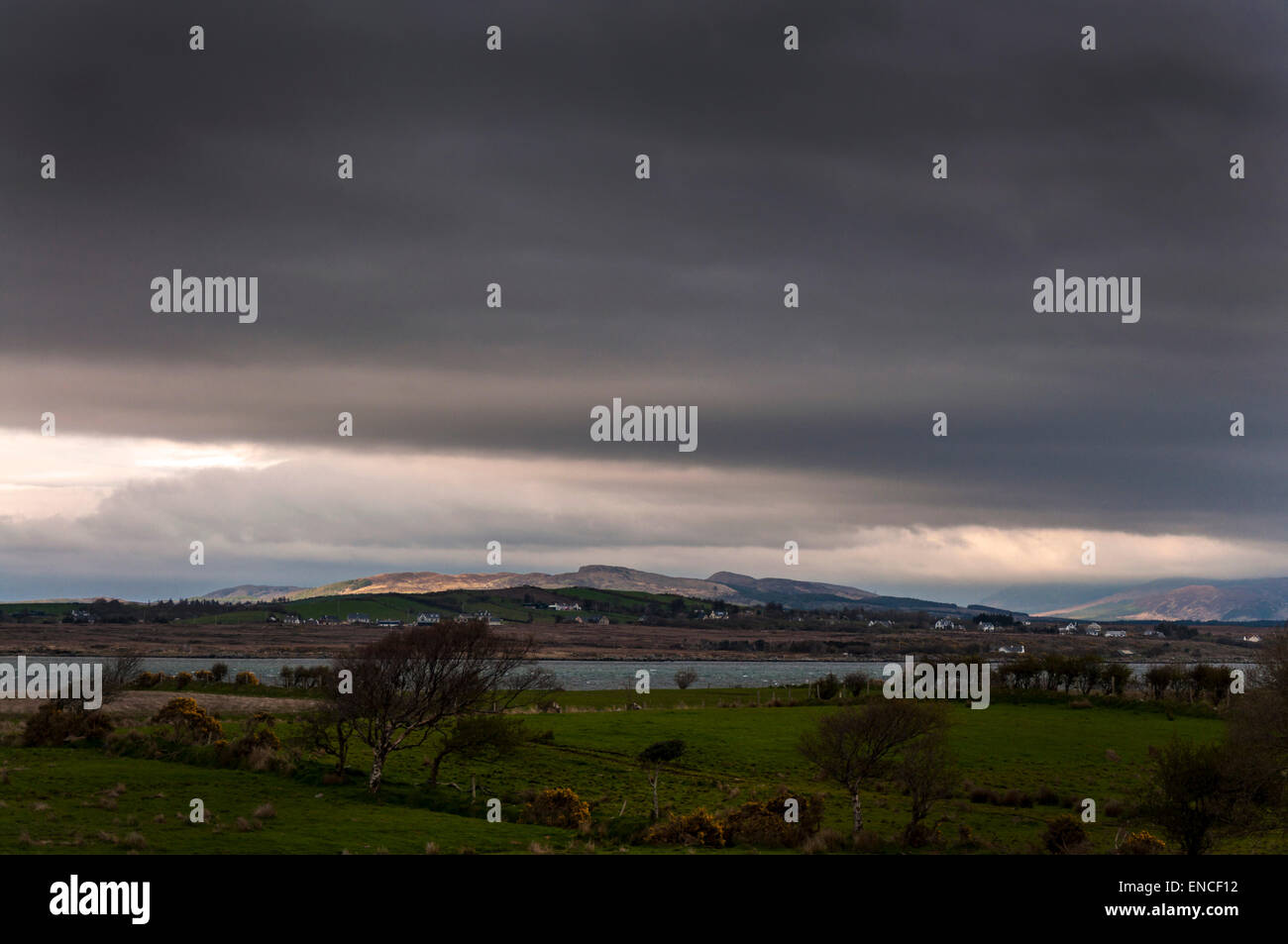 Predominate hi-res stock photography and images - Alamy