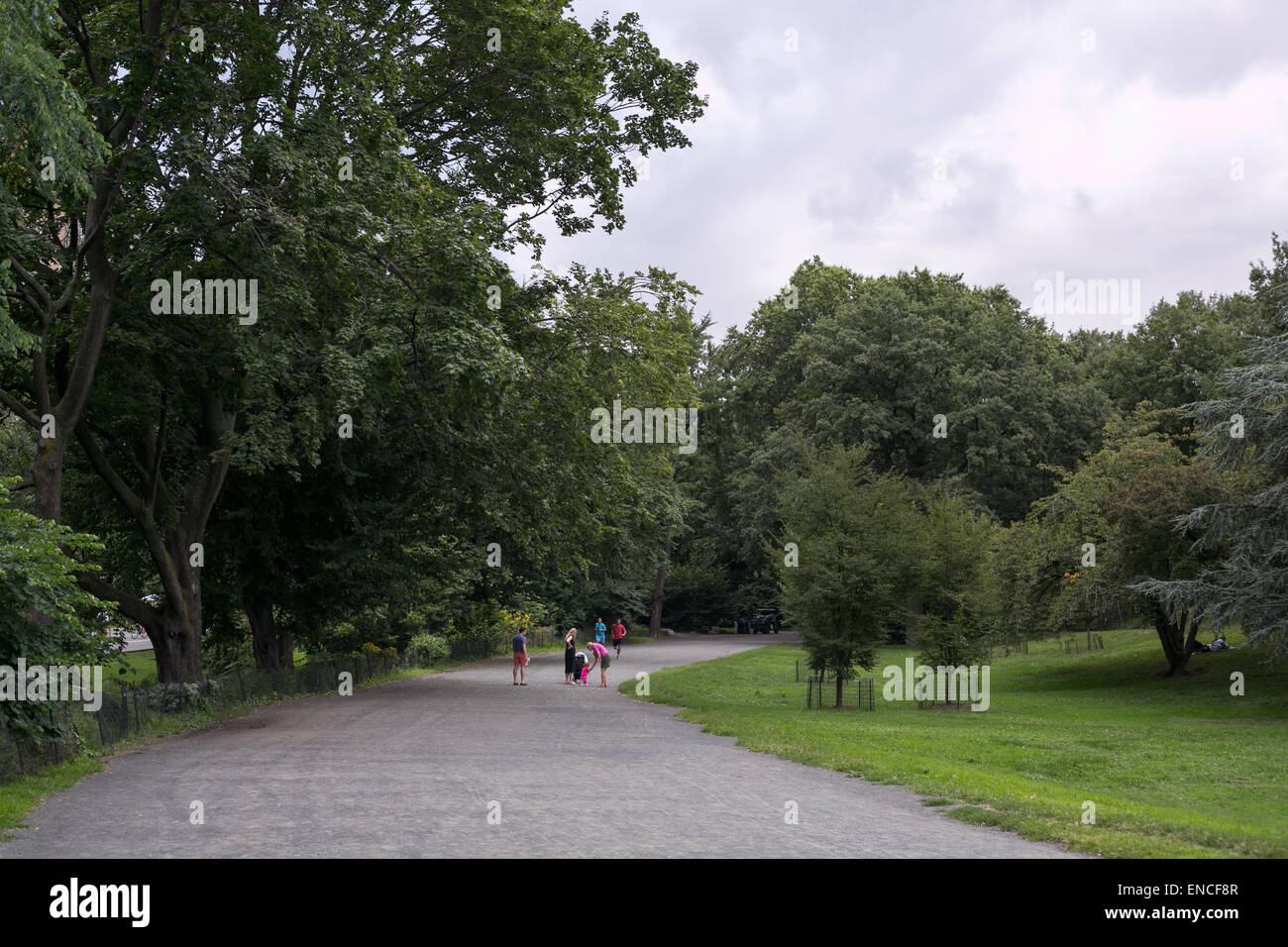 Bridle path central park hi-res stock photography and images - Alamy