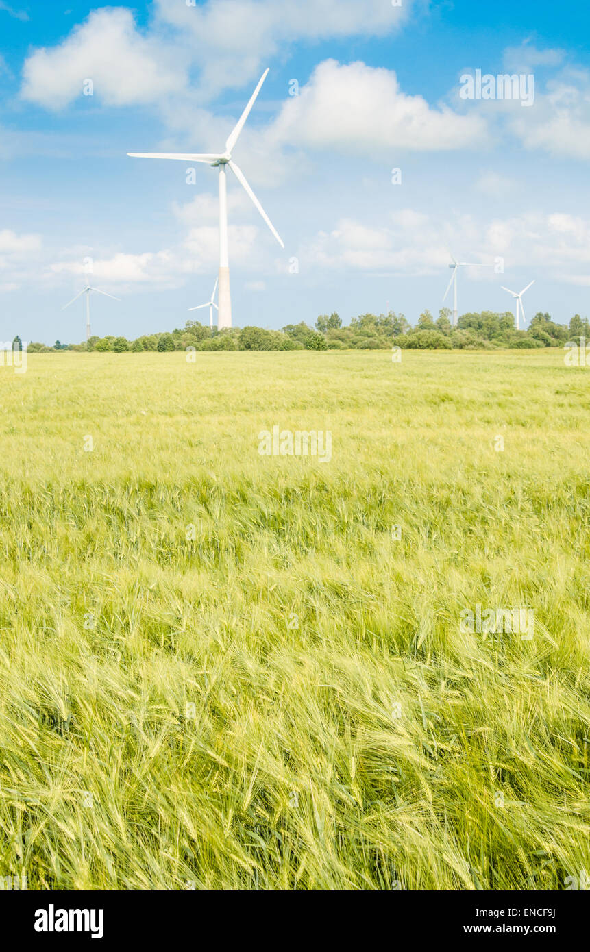 Summer landscape with wind generators Stock Photo - Alamy