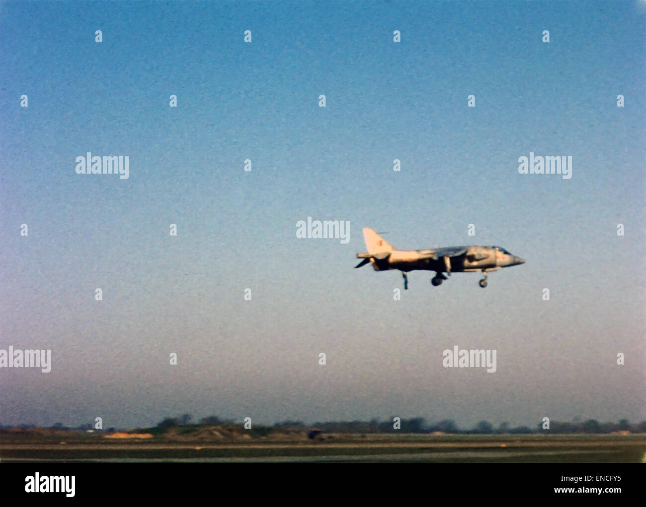 P 1127 kestrel hi-res stock photography and images - Alamy