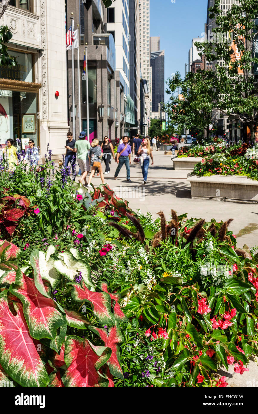 Chicago skyline from north avenue hi-res stock photography and images ...