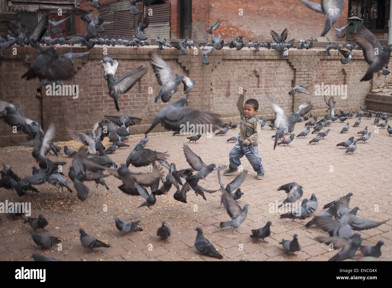 Nepal. 2nd May, 2015. A Nepali child plays with pigeon at Pashupatinath ...