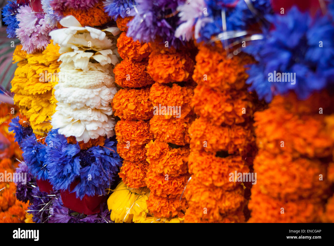 Garlands of flowers hi-res stock photography and images - Alamy
