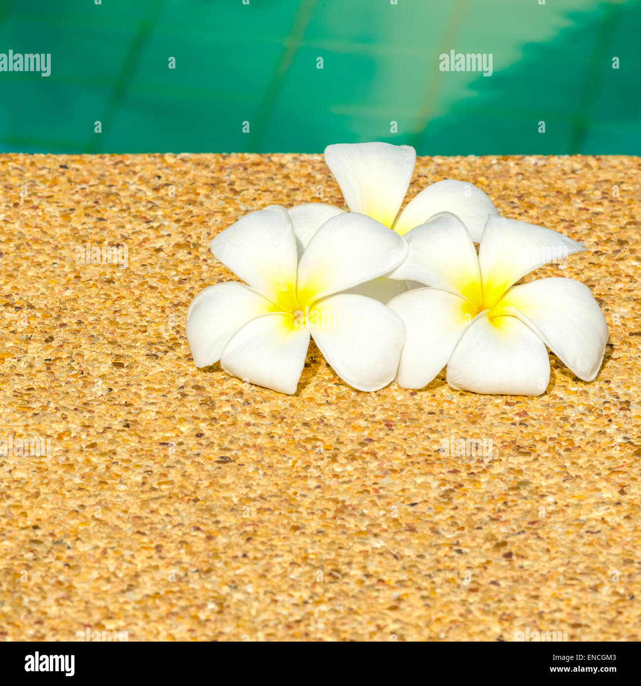 Thai decor garden hi-res stock photography and images - Alamy