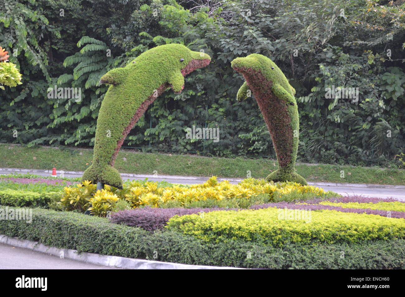 Green dolphins hi-res stock photography and images - Alamy