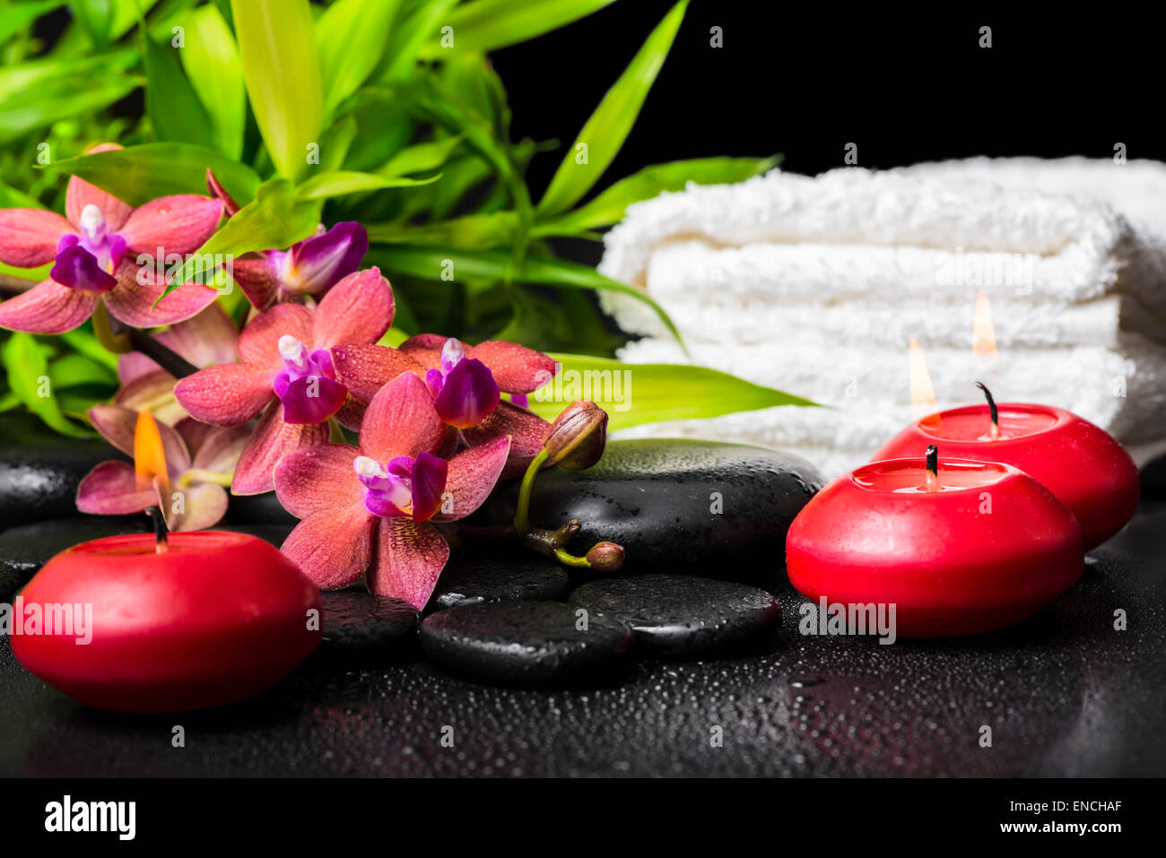 spa concept of blooming twig red orchid flower, phalaenopsis, bamboo ...