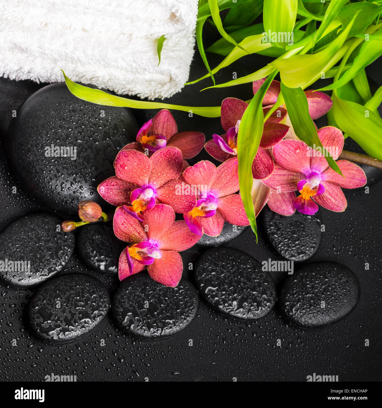 top down spa concept of blooming twig red orchid flower, phalaenopsis ...