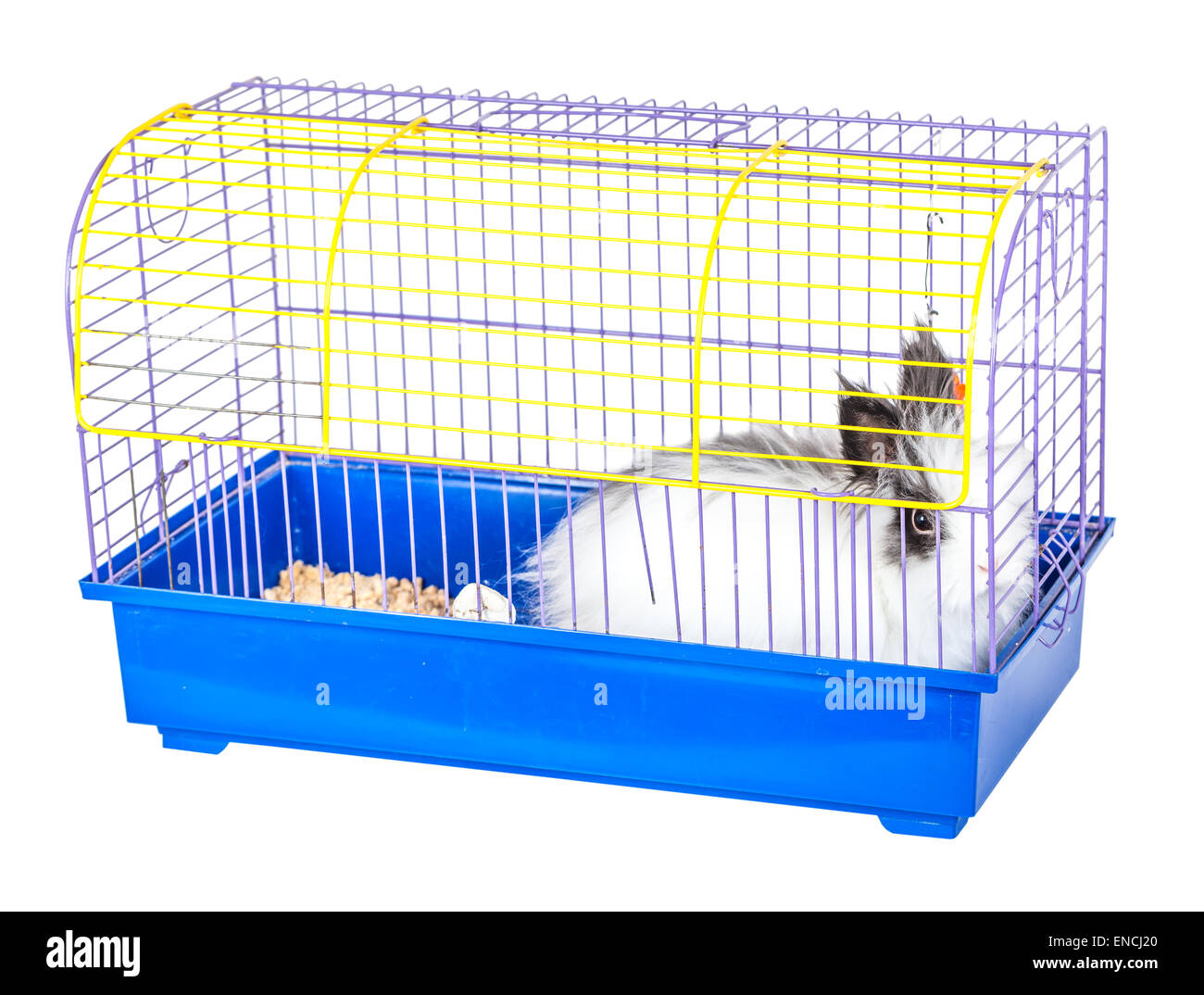decorative rabbit in a cage on white background Stock Photo - Alamy