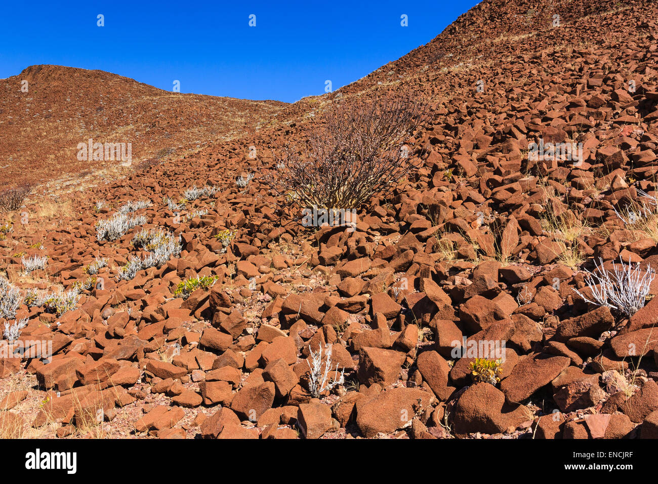 Deep in africa hi-res stock photography and images - Alamy