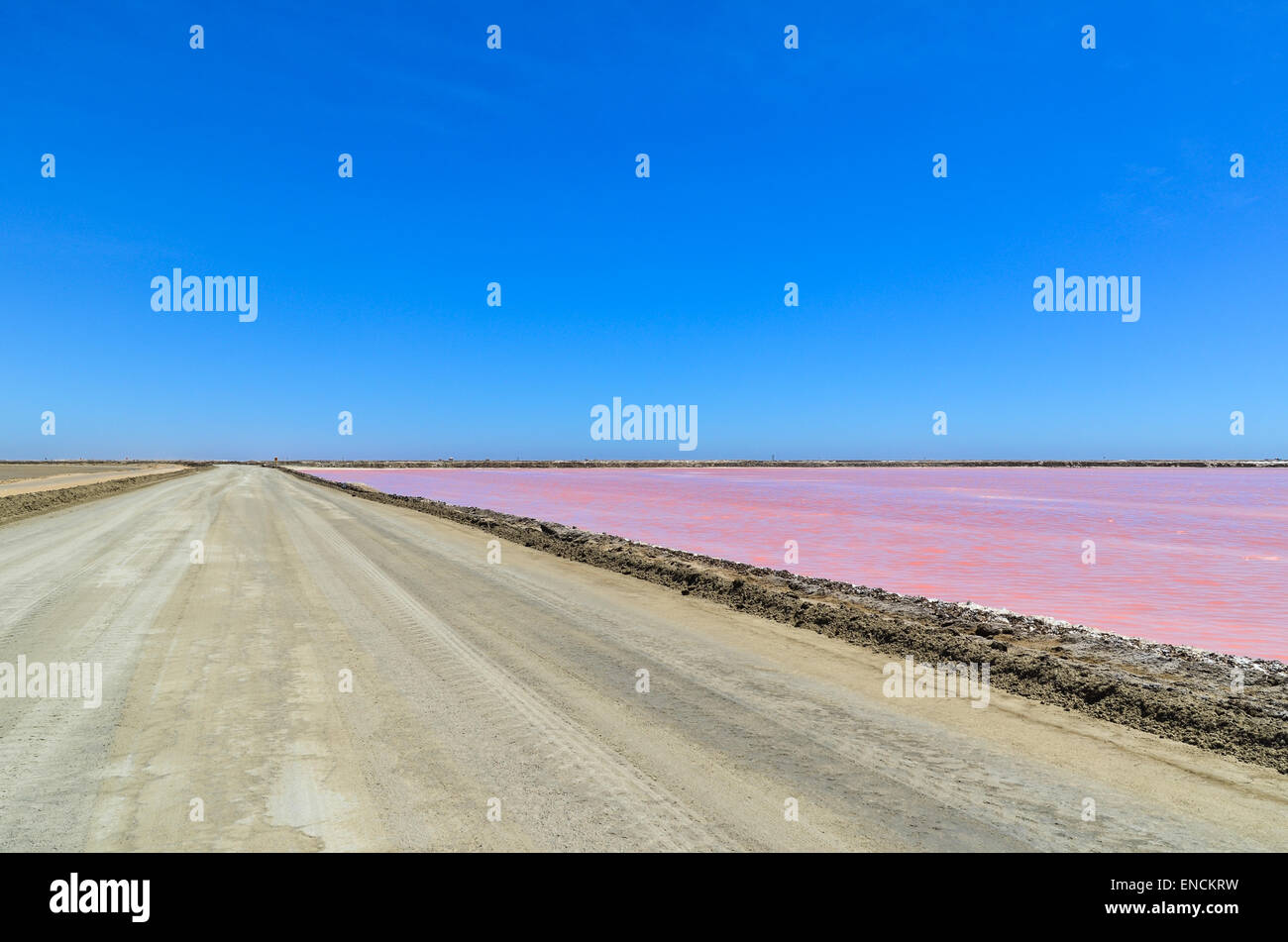 Dirt road and pink water of the salt works in Walvis Bay, Namibia, in ...