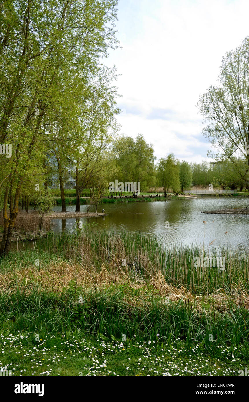 A view of a lake bordered with trees Stock Photo - Alamy
