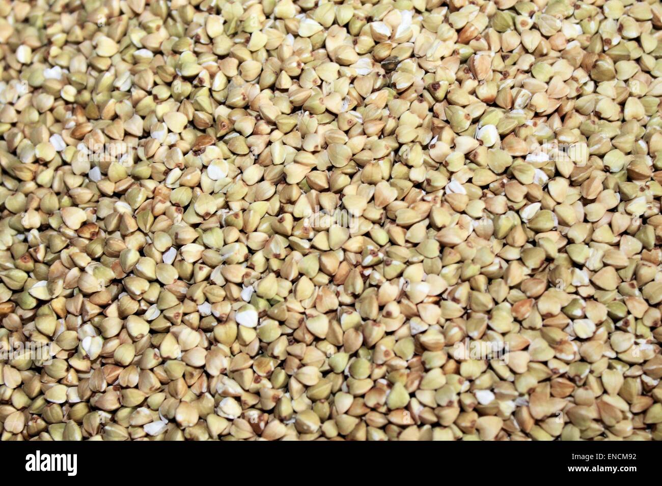 Buckwheat pattern hi-res stock photography and images - Alamy