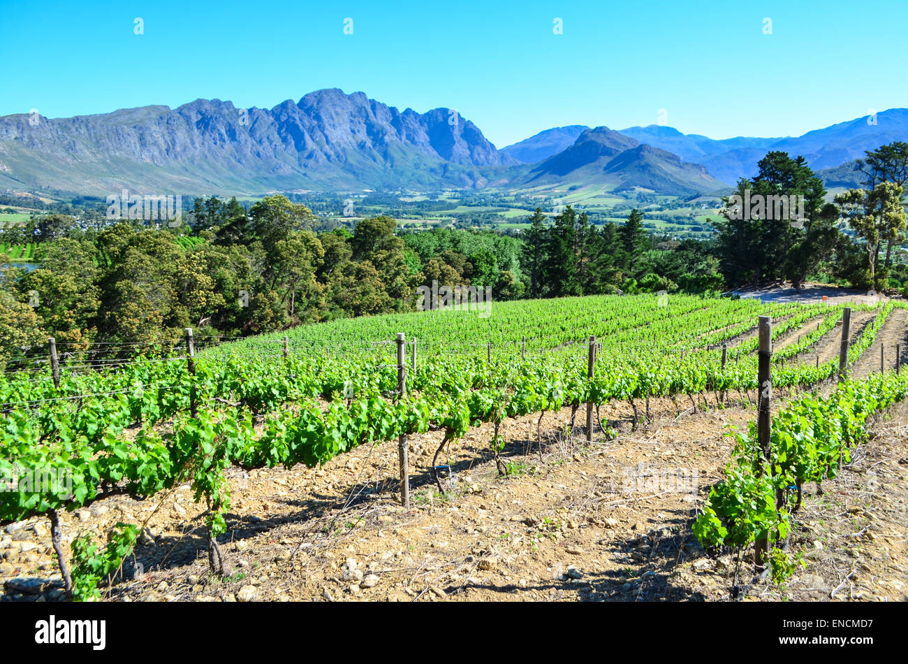 Franschhoek Mountains High Resolution Stock Photography and Images - Alamy