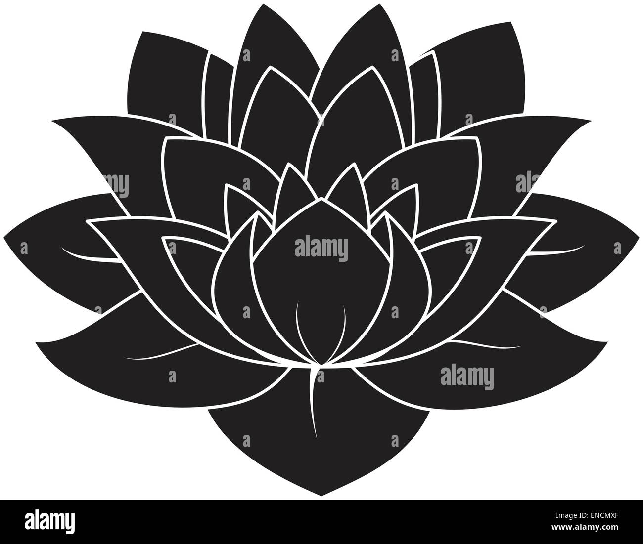 Lotus Flower Silhouette Stock Vector Image & Art - Alamy