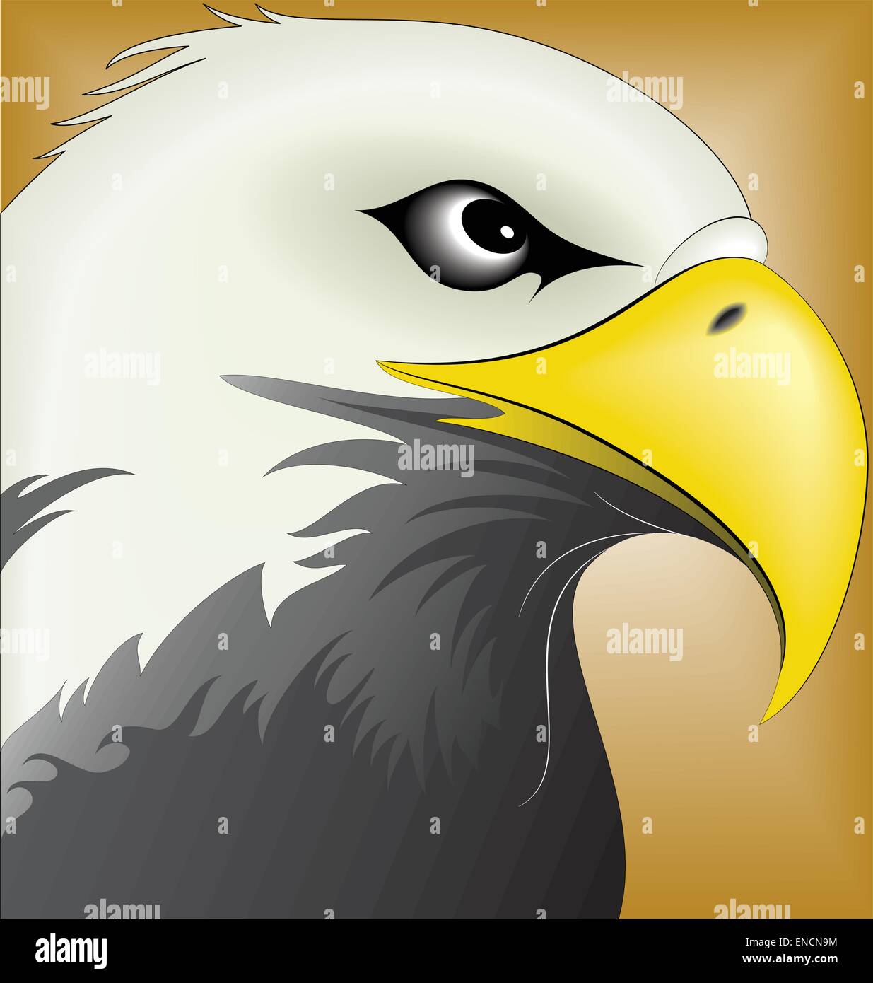 Outline bird eagle face Stock Vector Images - Alamy