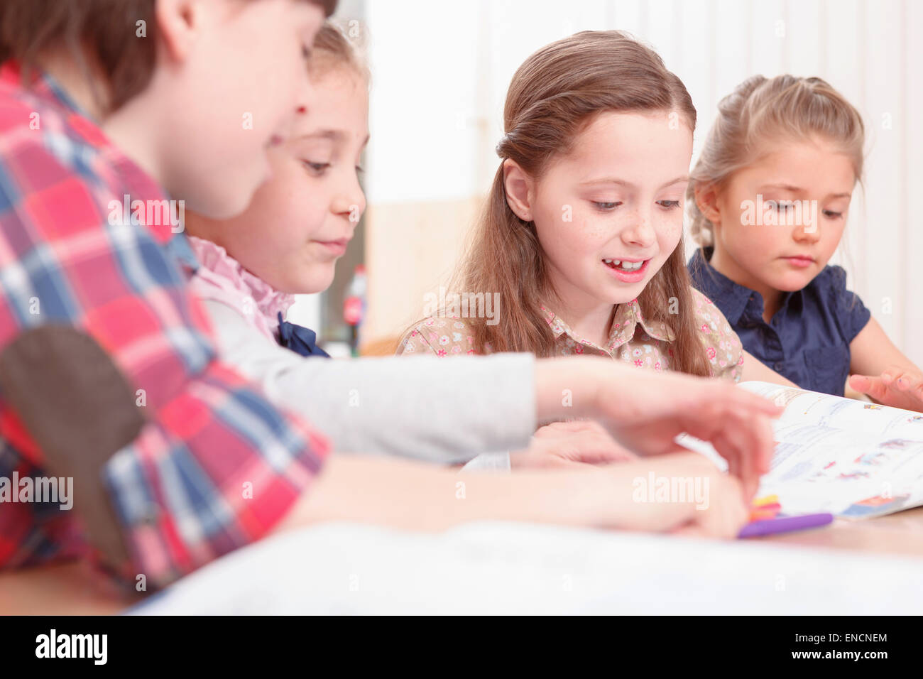 Studding hi-res stock photography and images - Alamy