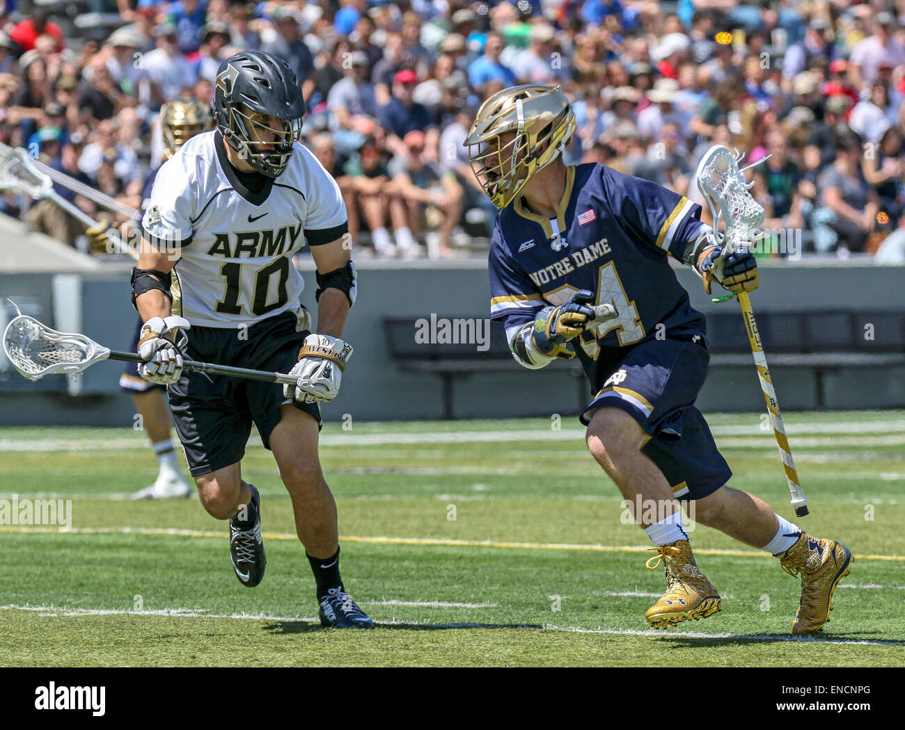Michael wynne hi-res stock photography and images - Alamy