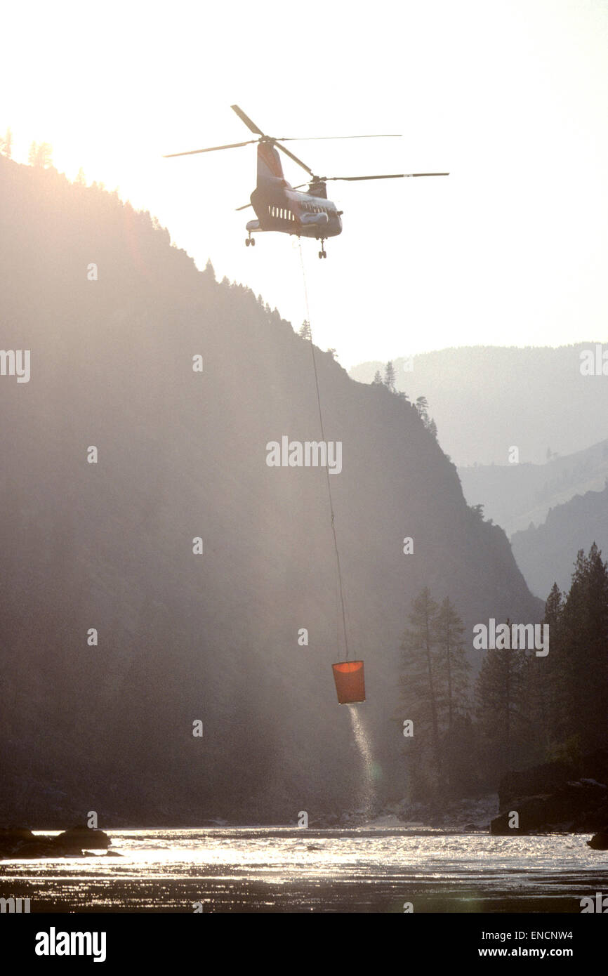 Chinook helicopter hauling water to fight forest fire Stock Photo - Alamy