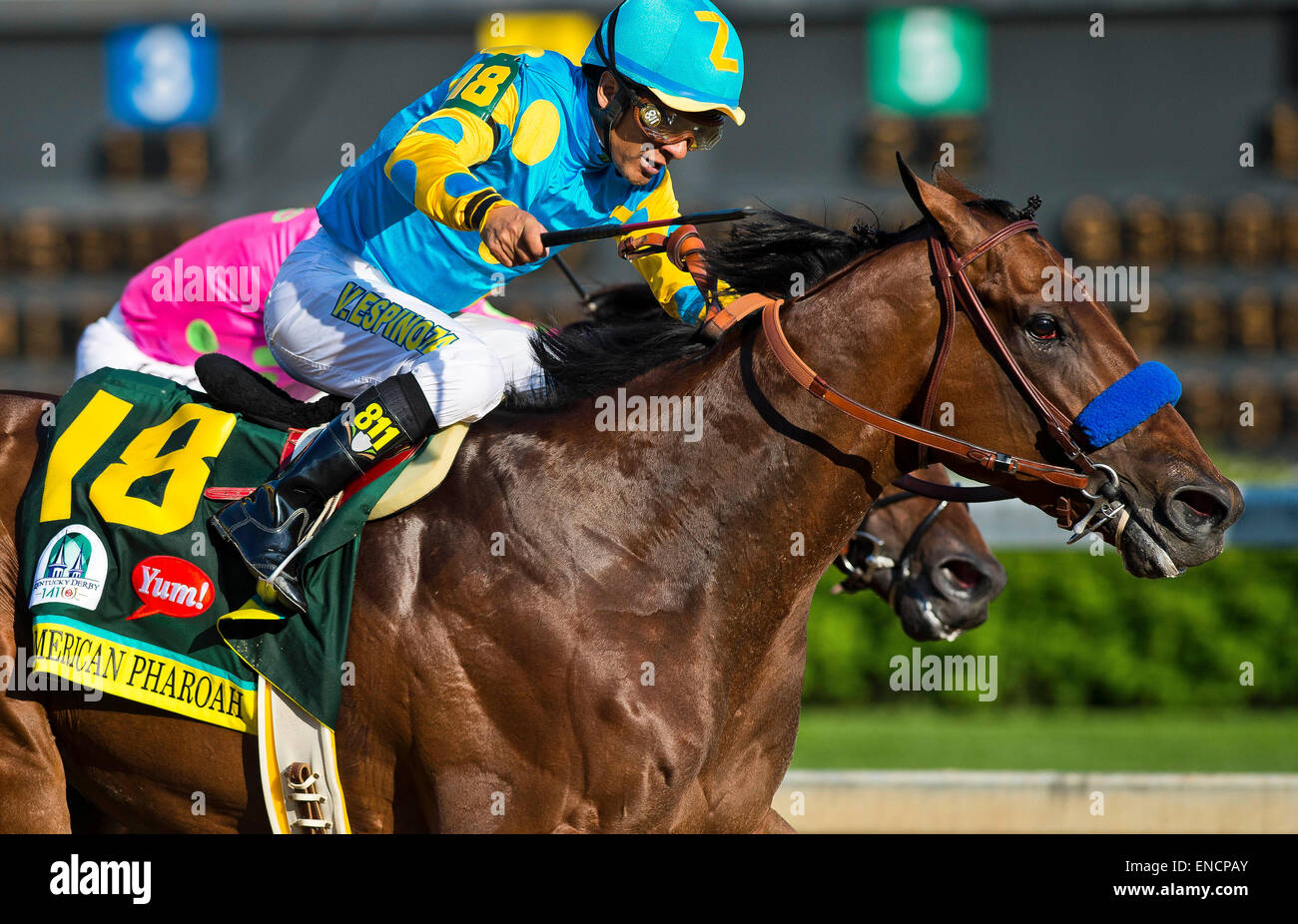 American pharoah kentucky derby 2015 hi-res stock photography and ...