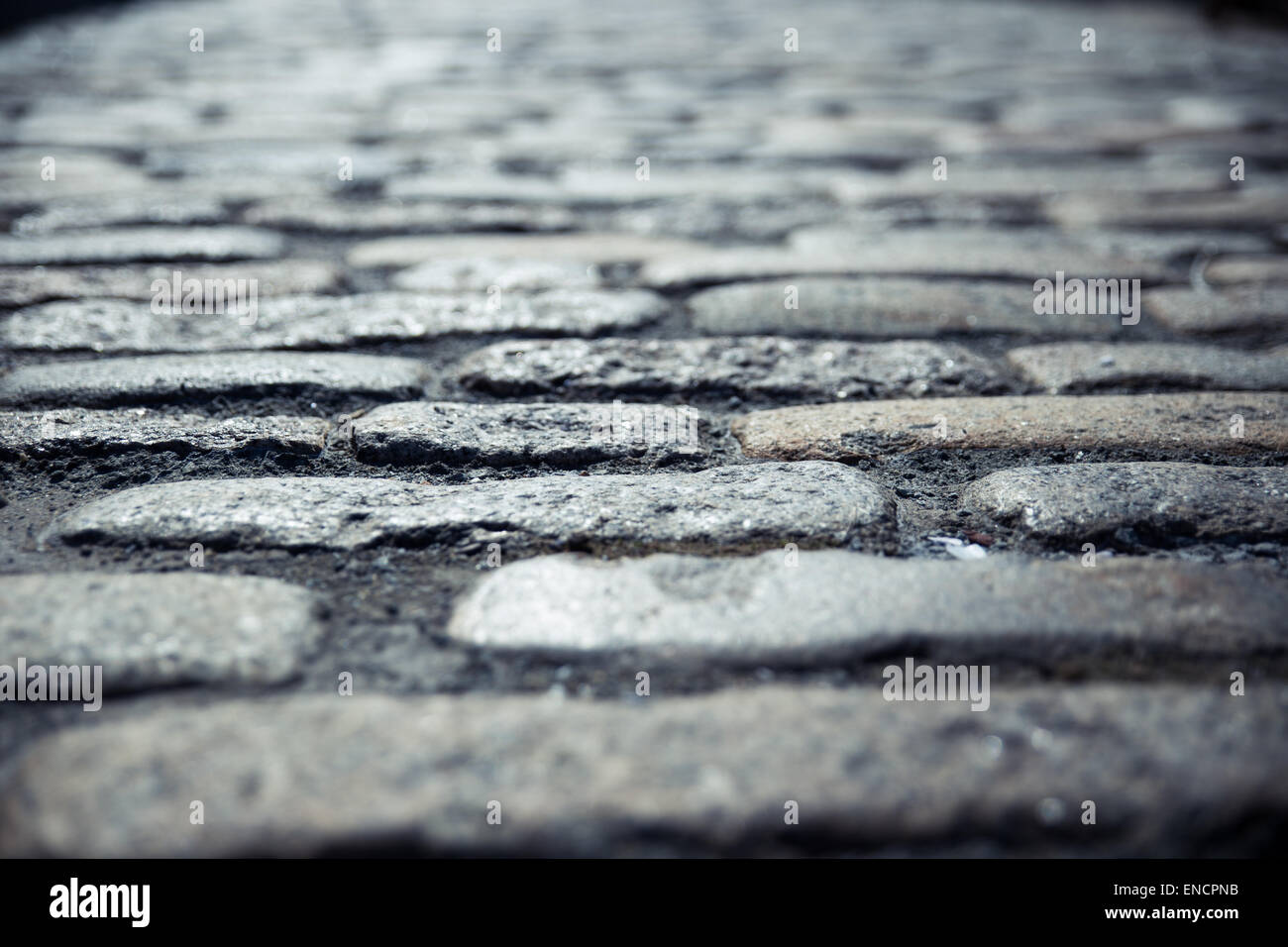 A cobblestone path Stock Photo - Alamy