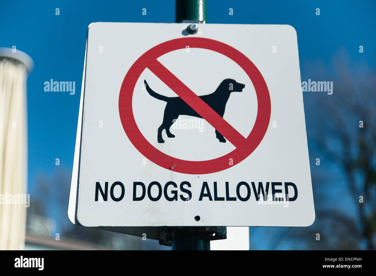 No dogs allowed sign Stock Photo - Alamy