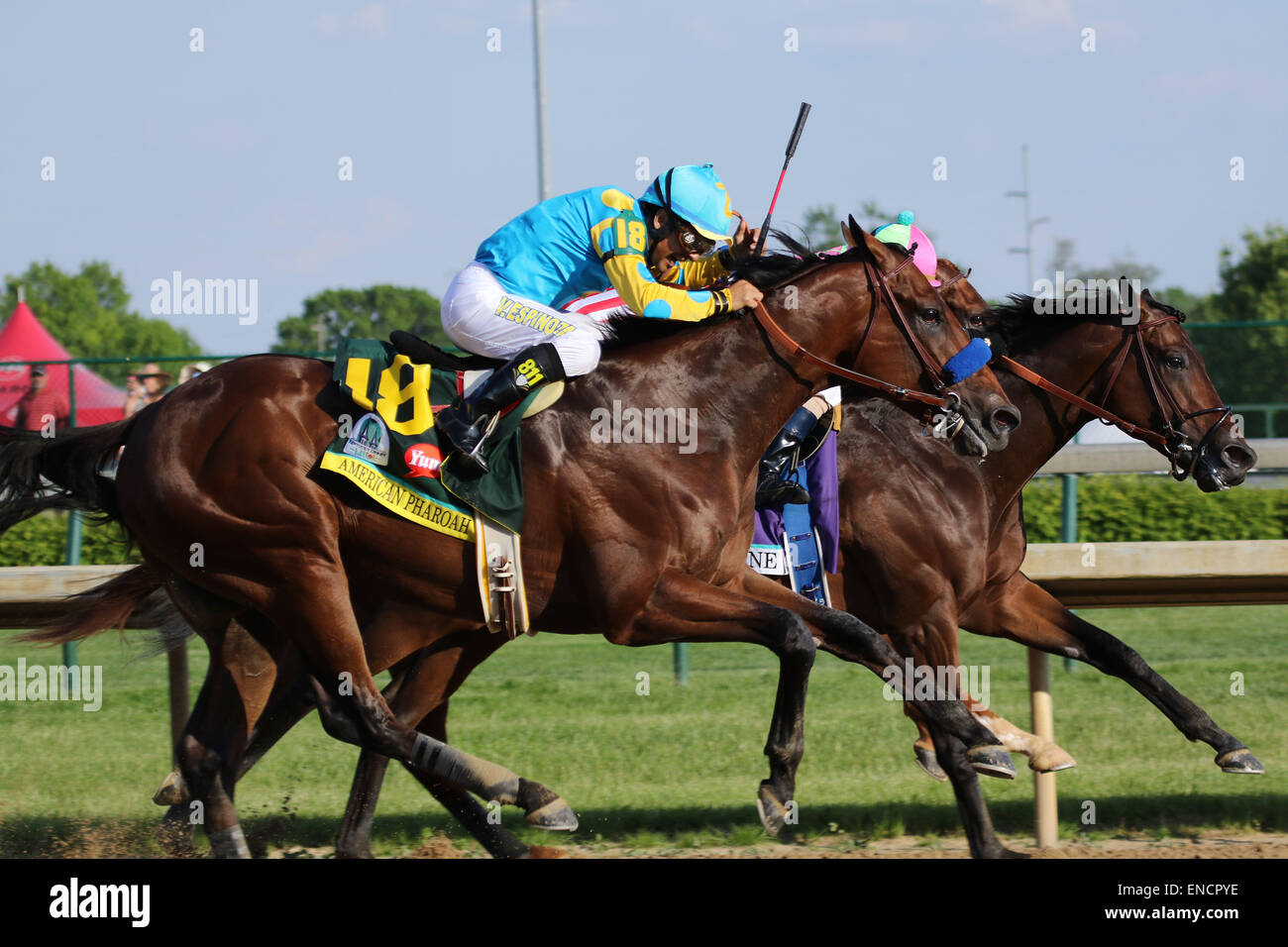 Louisville, KY, USA. 2nd May, 2015. May 02, 2015: American Pharoah and ...