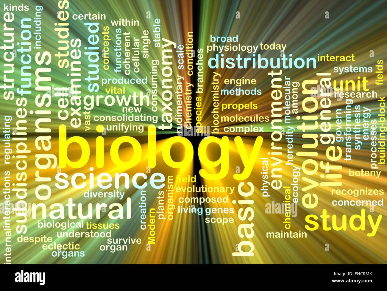 Background text pattern concept wordcloud illustration of biology ...