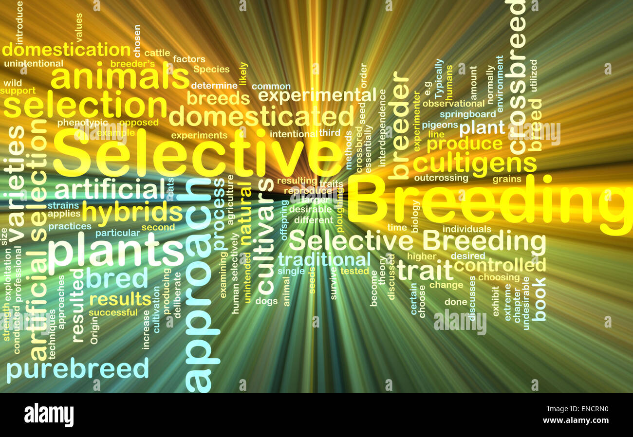 Background text pattern concept wordcloud illustration of selective ...