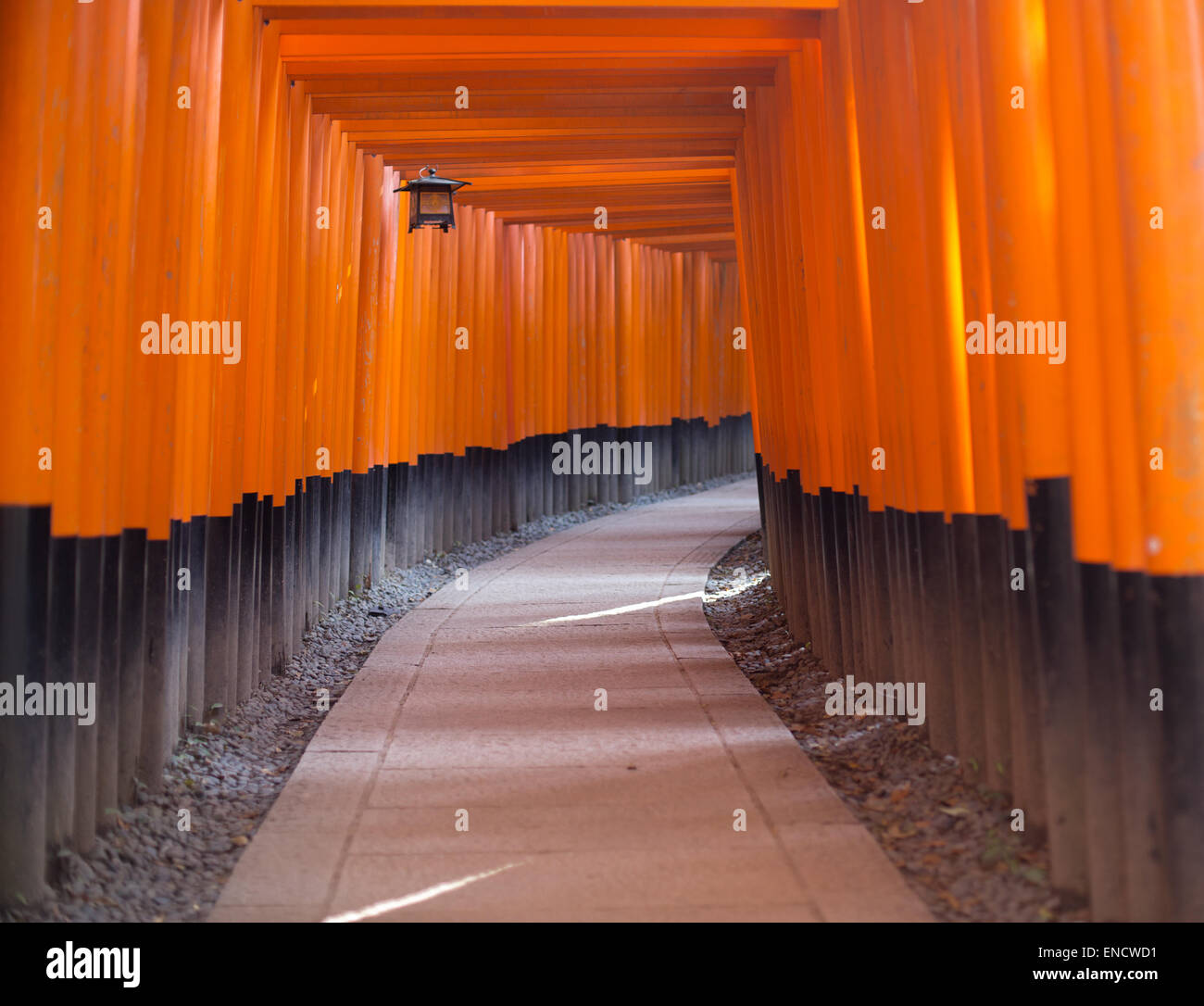 Fushimi Inari Taisha Shrine, Kyoto, Japan Stock Photo - Alamy