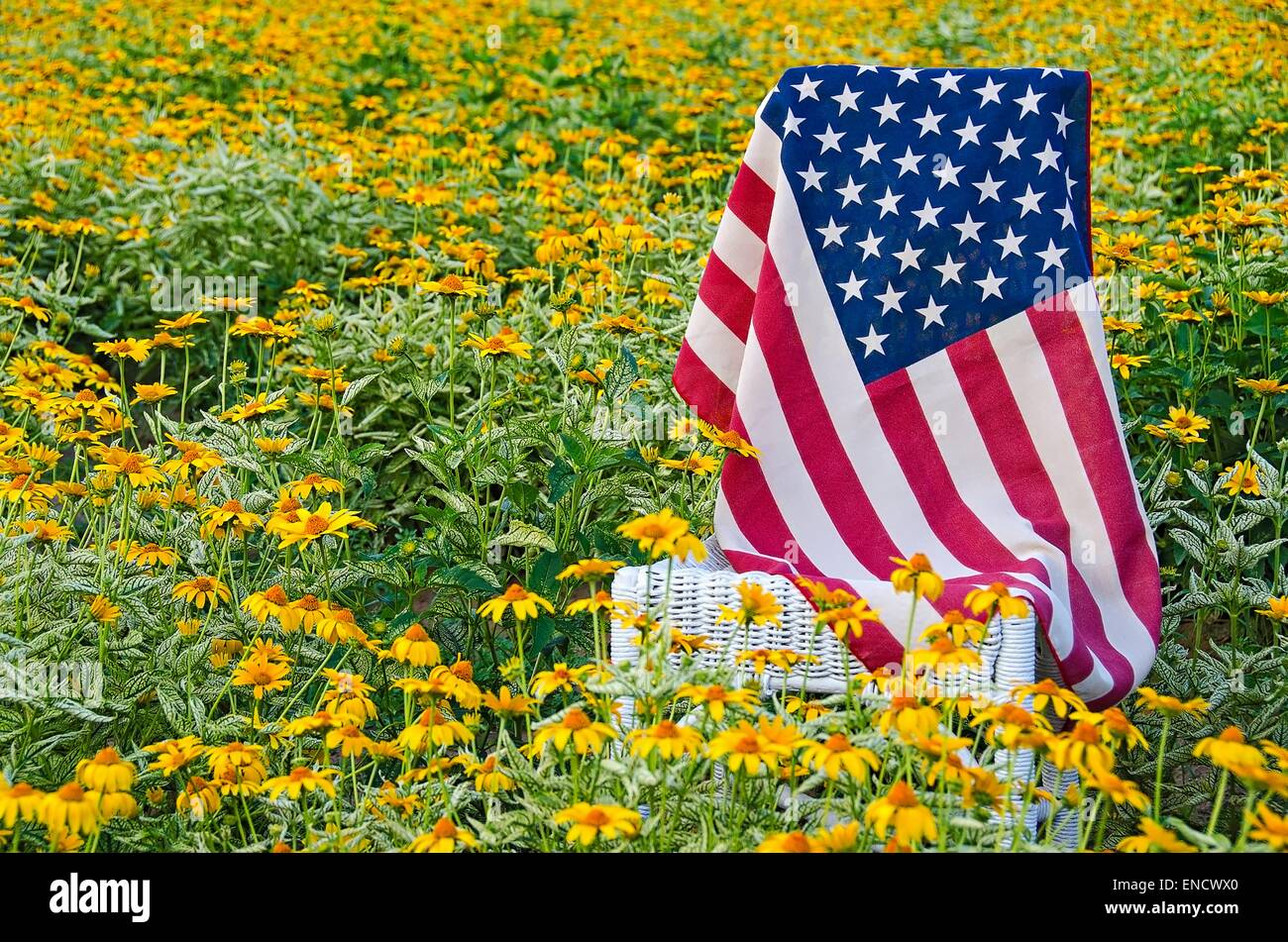 American flag star field hi-res stock photography and images - Alamy